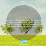 16 pop songs with lyrics that work as poetry