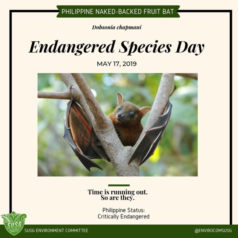 Time is running out for these critically-endangered species in the ...
