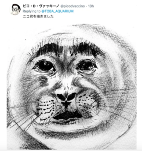 Internet captivated by 'cute but strange' baby seal because of its ...