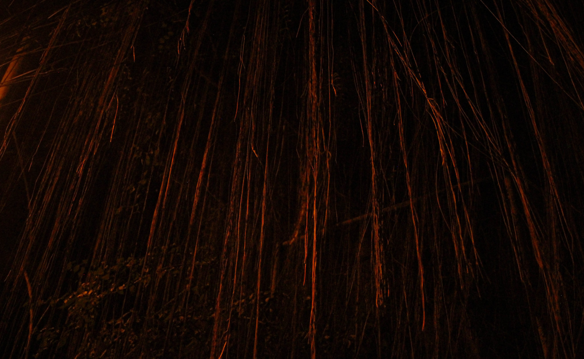 When was the last time you saw the Lady in Balete Drive?