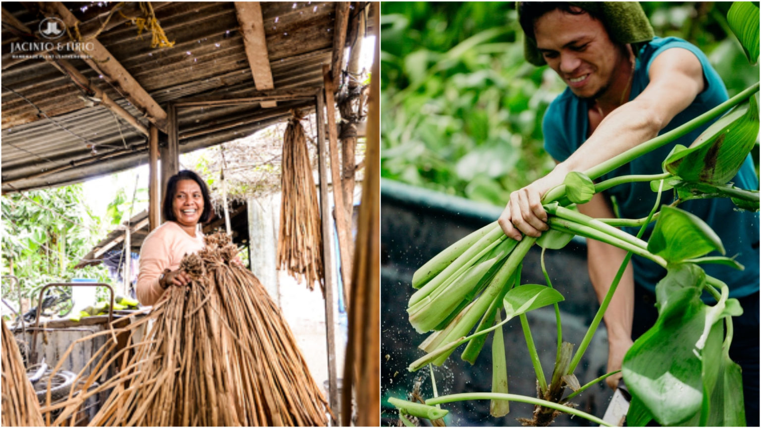 From harmful to fashionable: The Jacinto & Lirio story