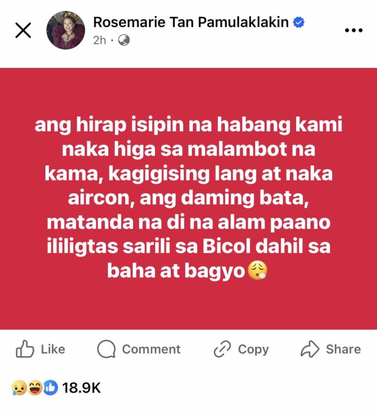 Social media users call out vlogger Rosmar Tan for 'weird flex' amid Kristine onslaught