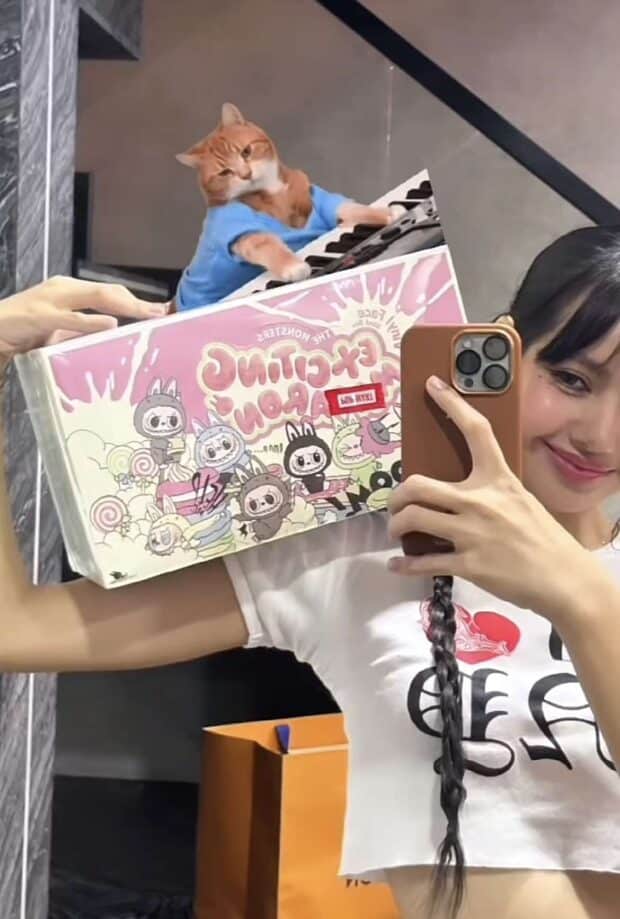 What is a 'Labubu' and why does everyone seem to have it?