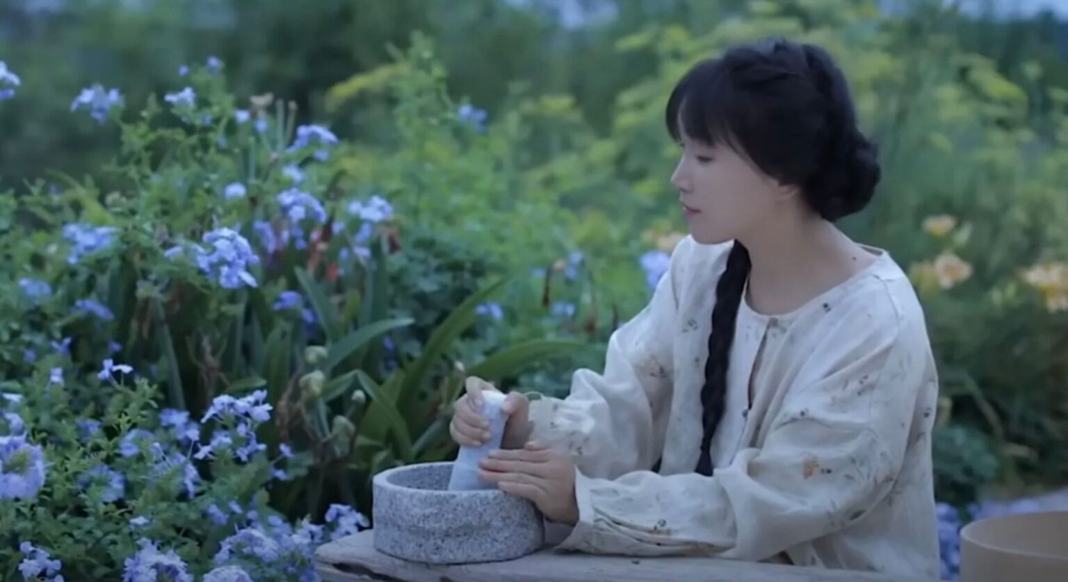 Chinese influencer Li Ziqi ignites controversy with advice against ...