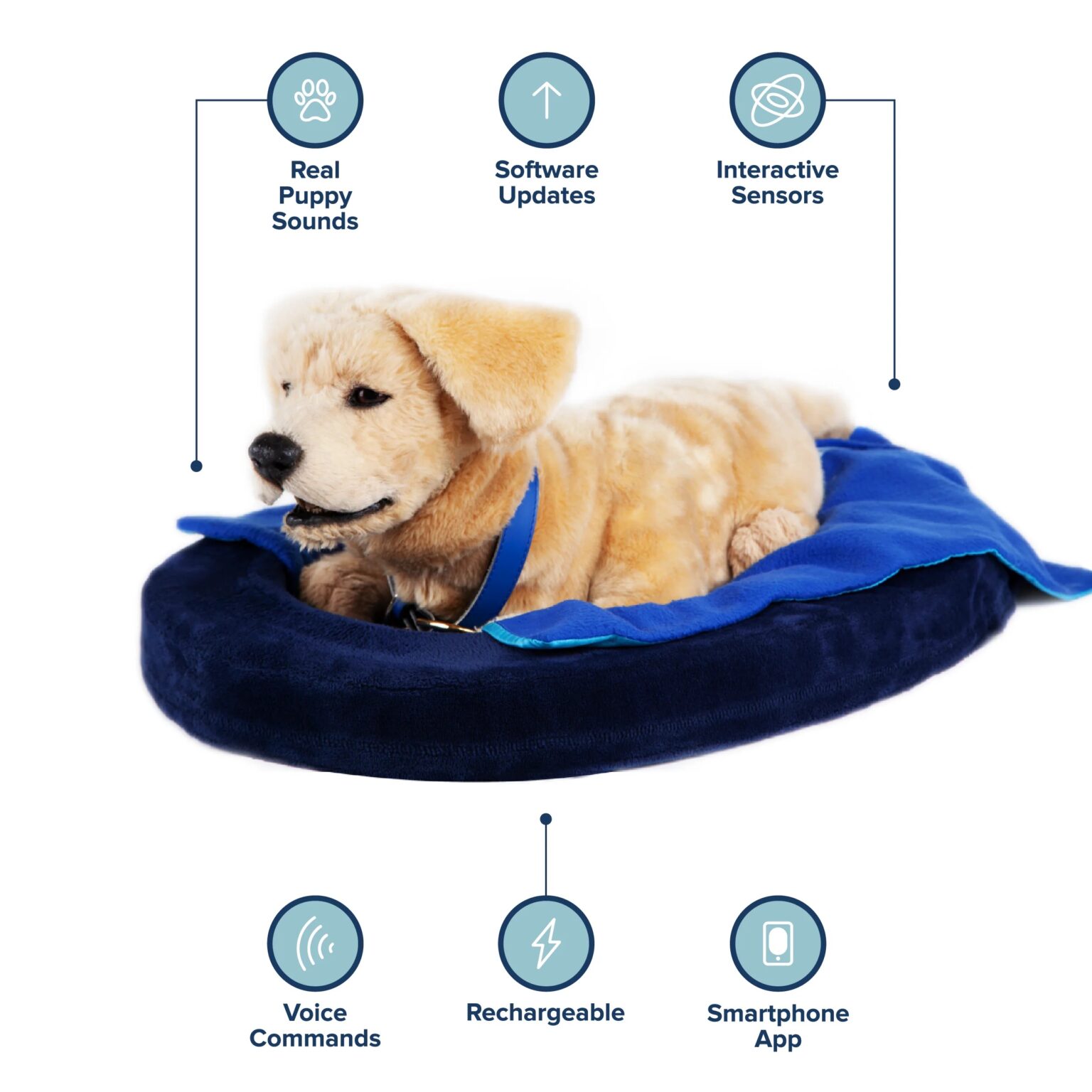 Life-like robotic dog ‘Jeanie’ provides companionship and medical aid ...