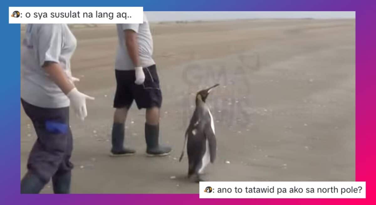 Tony Calvento of The Calvento Files: Master horror storyteller of 90s ...