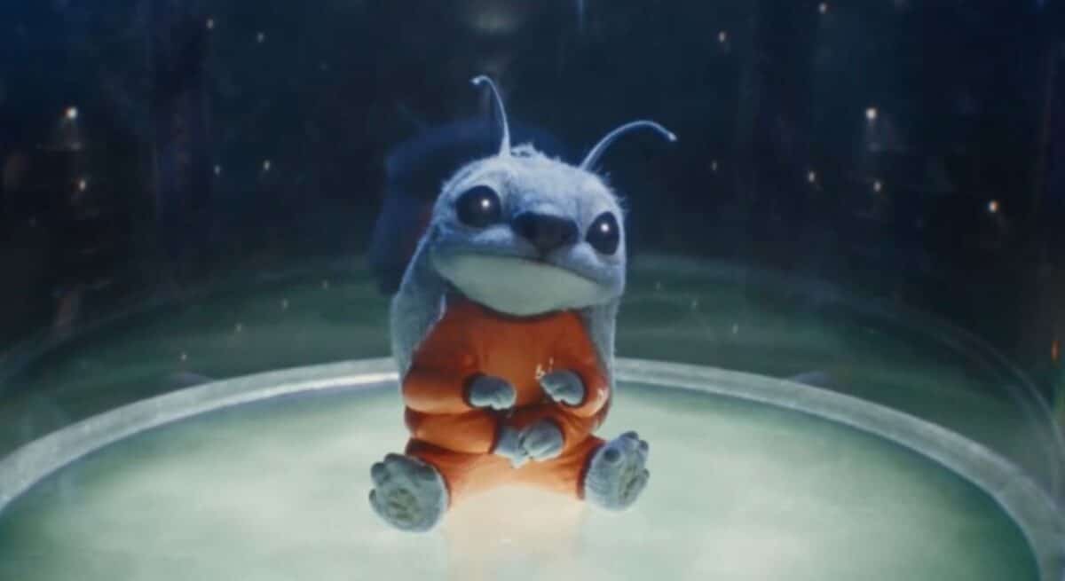 Fur-parenting can be good for your mental health, study affirms