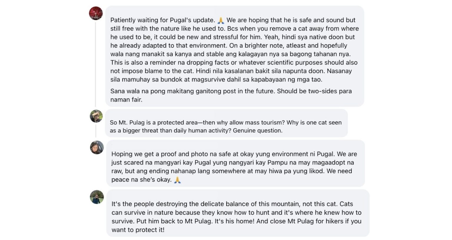 Animal rescue non-profit organization gives an update on what happened ...