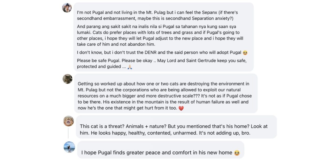 Animal rescue non-profit organization gives an update on what happened ...