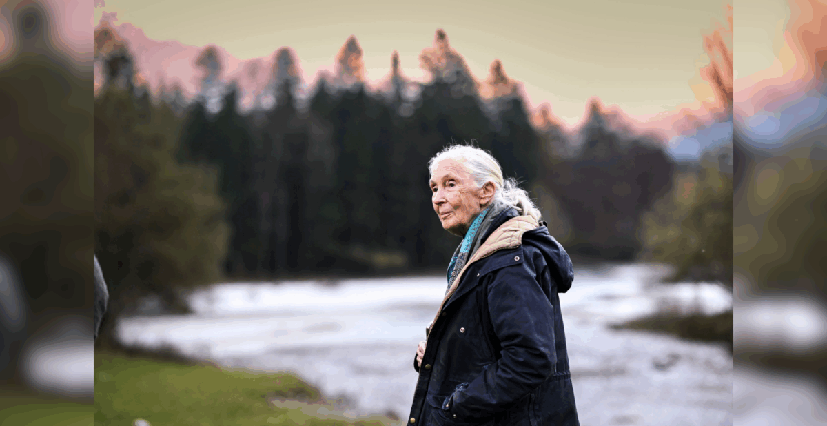 After her passing at 91, Jane Goodall's mission and advocacies live on