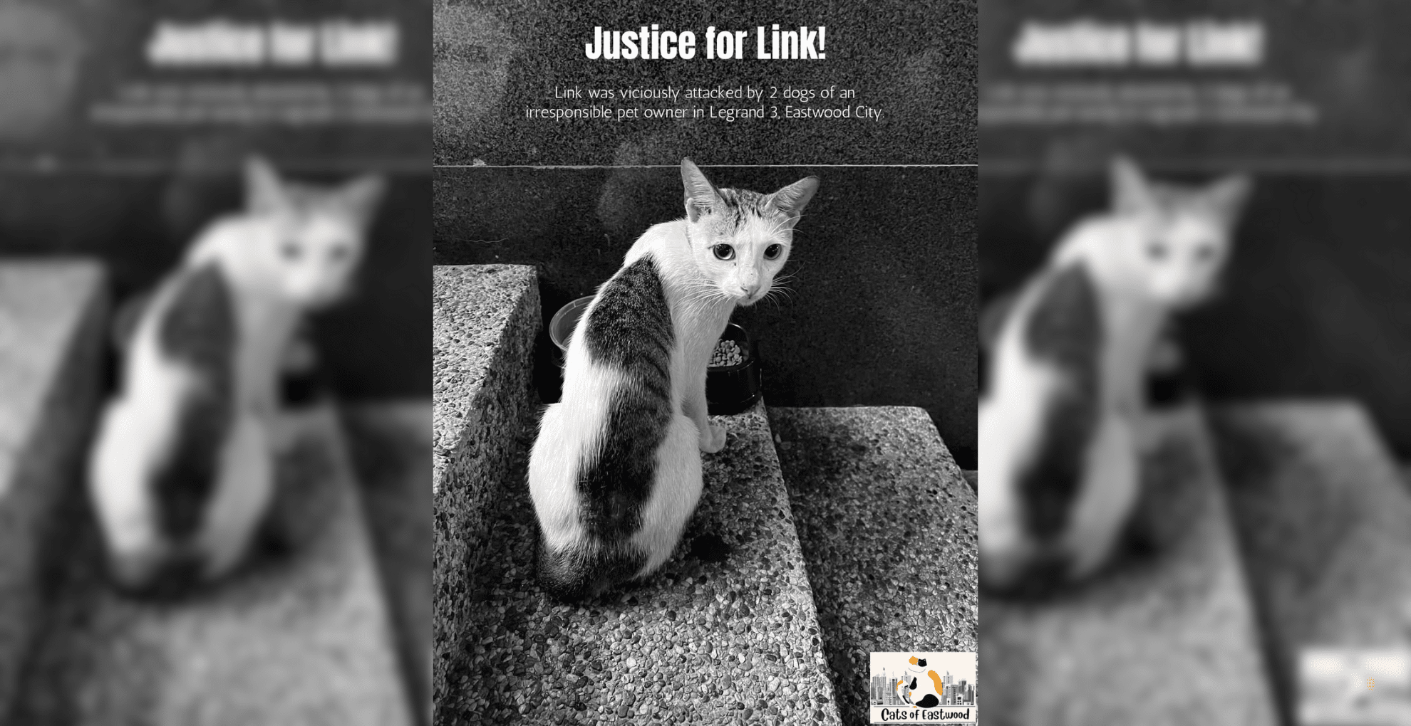 What is a 'Labubu' and why does everyone seem to have it?